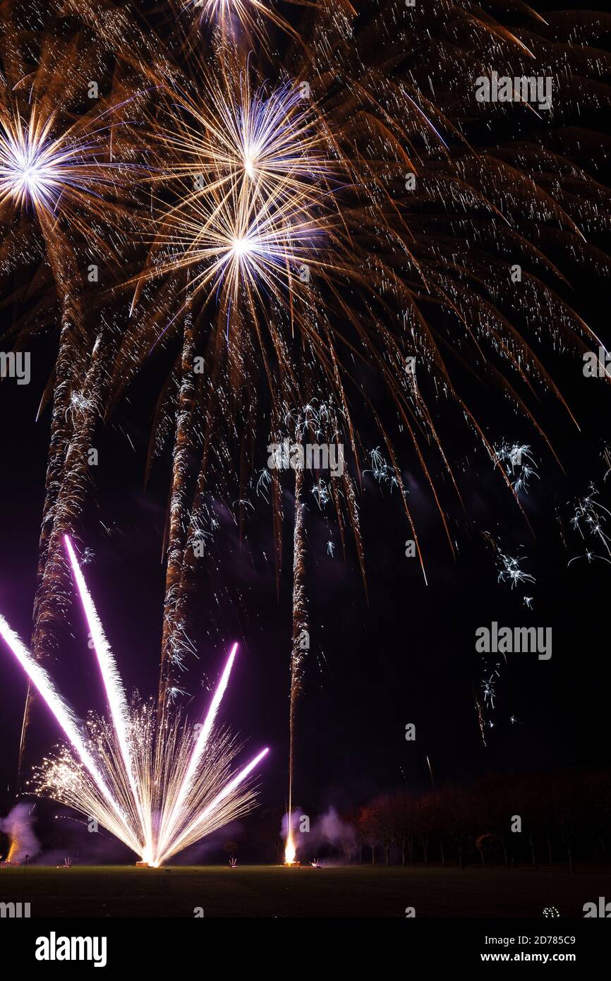 Spectacular and colourful firework display set against a dark Autumn ...