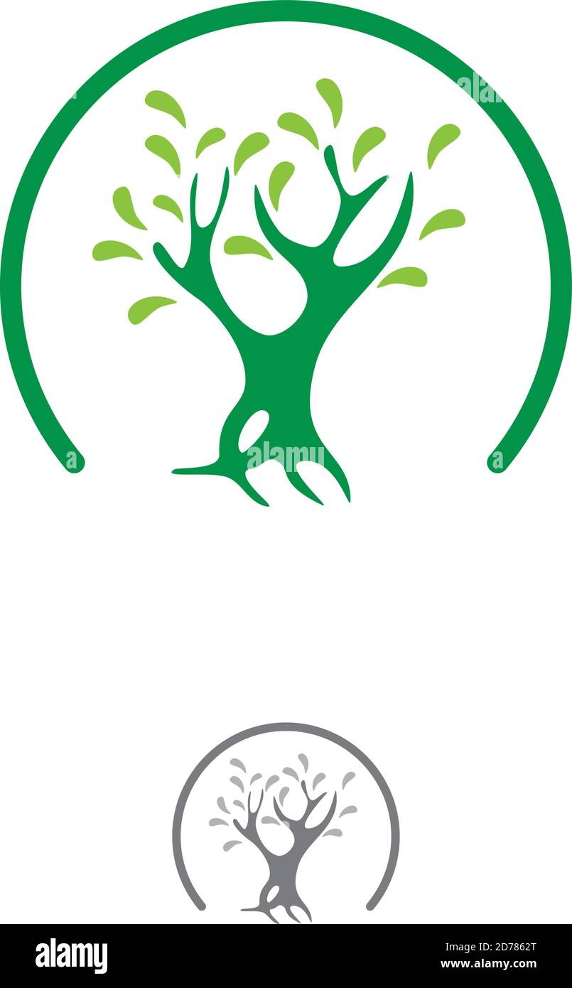 Vector illustration cartoon a drawing of a mangrove tree. Simple ...