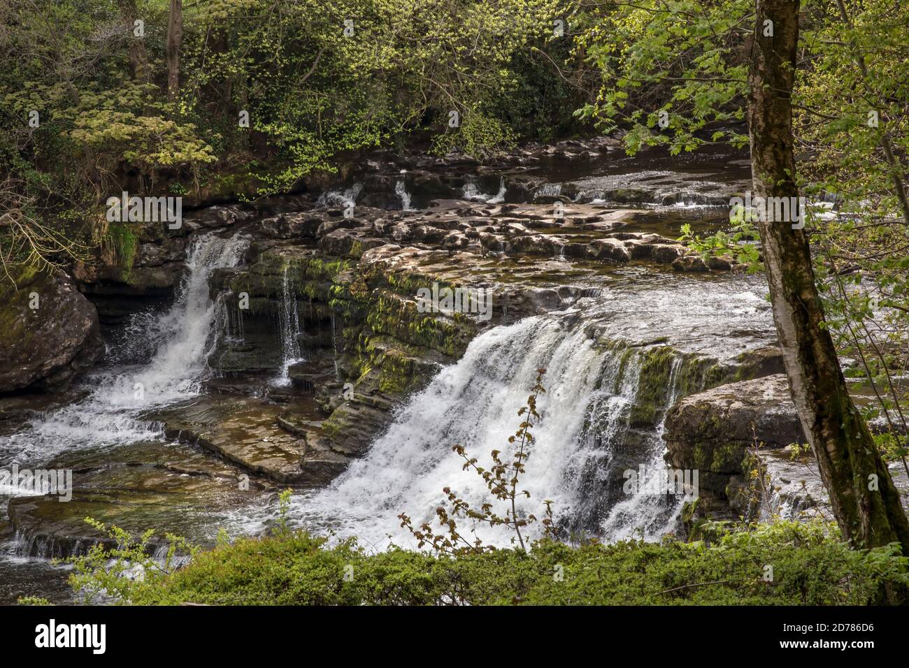 Aysgarth falls is one of the most impressive waterfalls in England ...