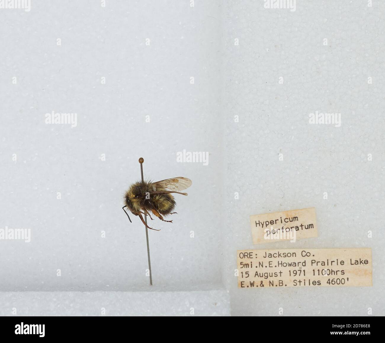 5 miles northeast of Howard Prairie Lake, Jackson, Oregon, United ...