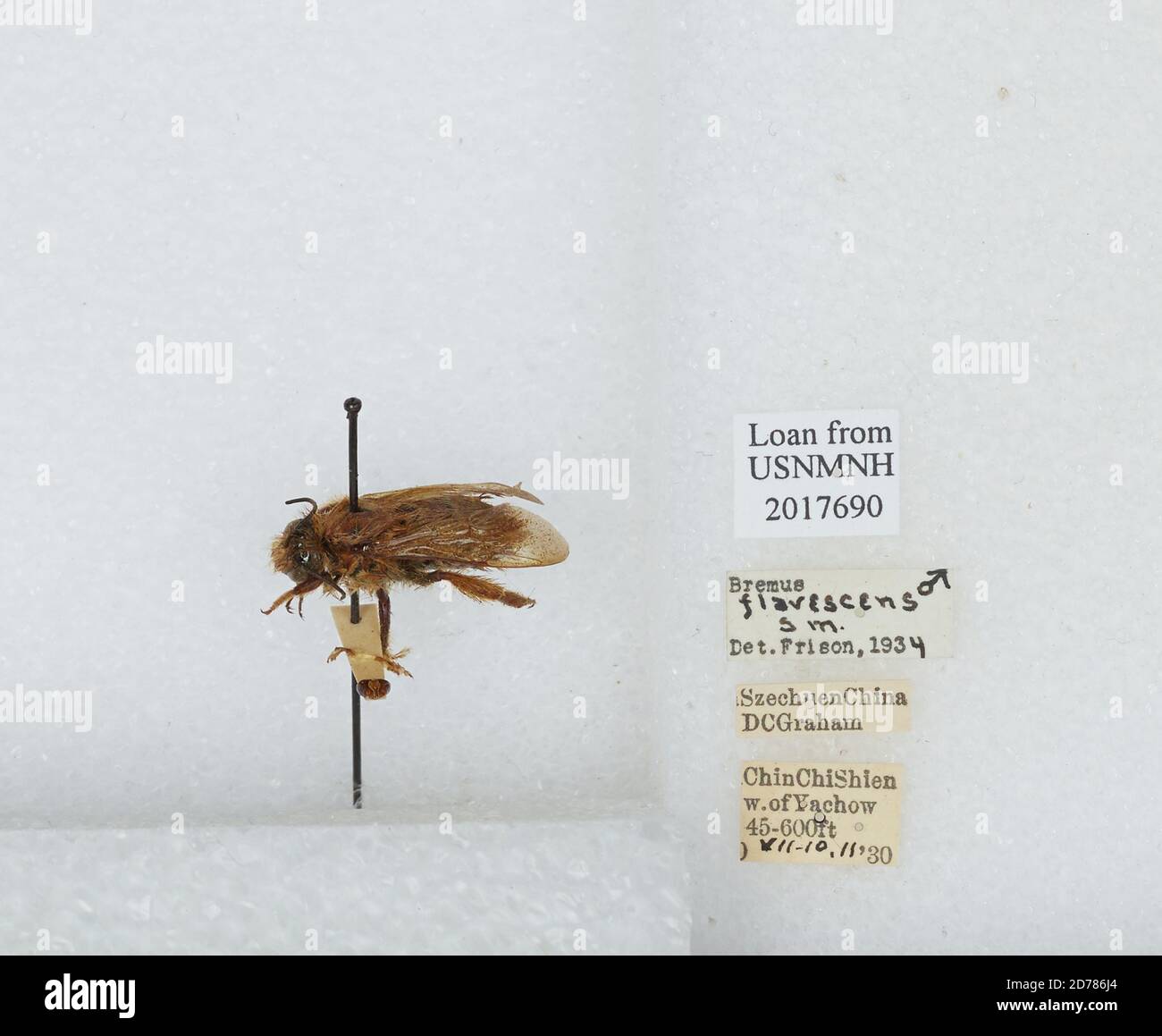 Chin chi shien hi-res stock photography and images - Alamy