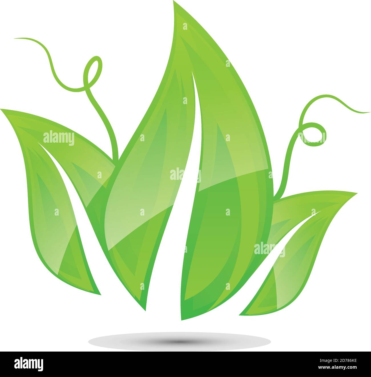 Fresh, green leaf nature vector icon that shiny. Environment decoration ...