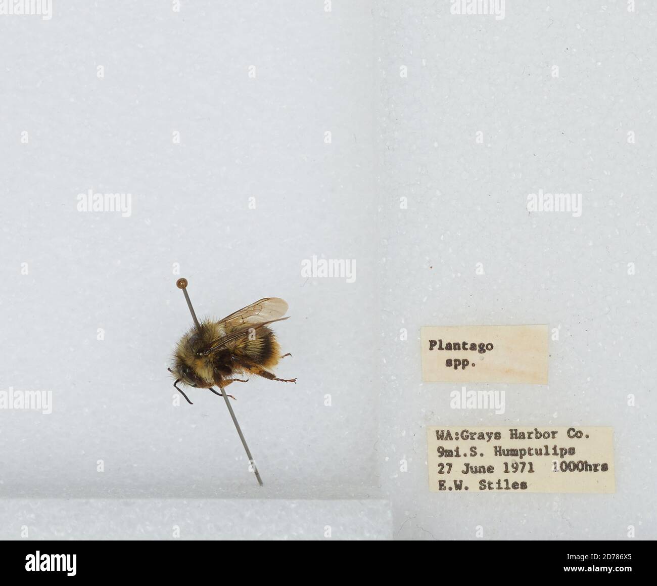 9 miles south of Humptulips, Grays Harbor, Washington, United States ...