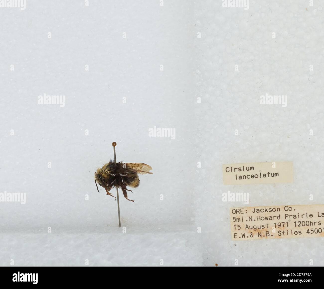 5 miles north of Howard Prairie Lake, Jackson, Oregon, United States ...