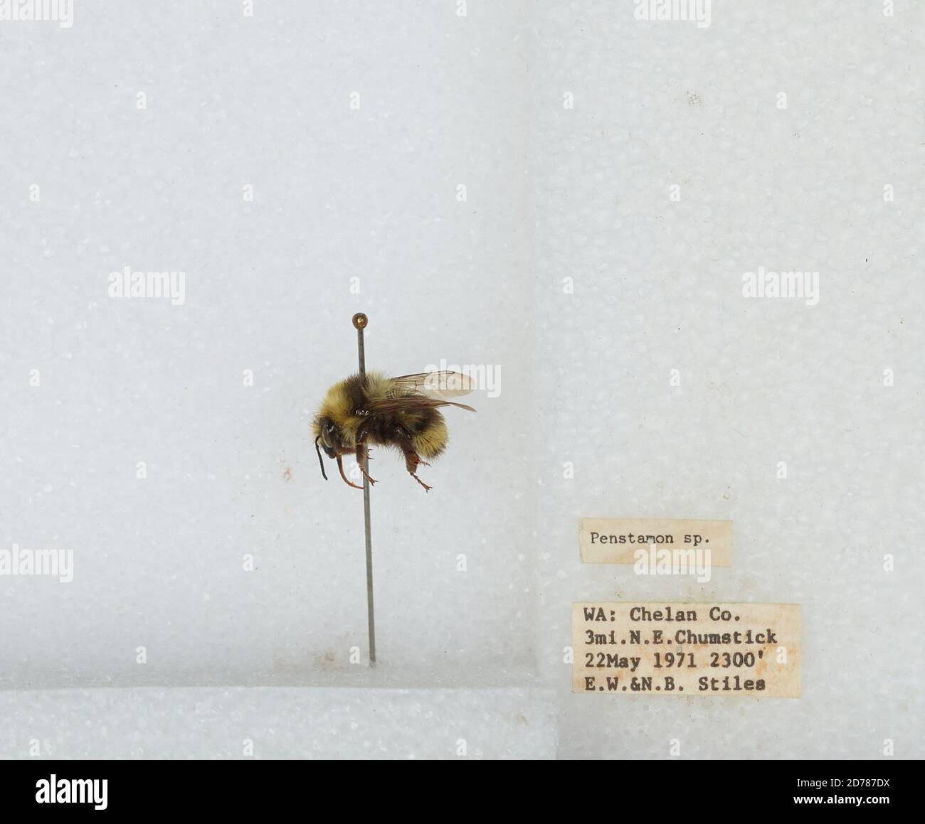 3 miles northeast of Chumstick, Chelan, Washington, United States ...