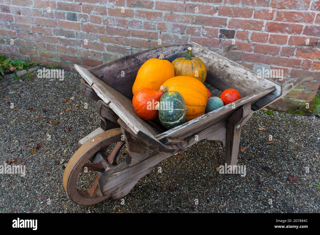 Wheelbarrow full vegetables hi-res stock photography and images - Alamy