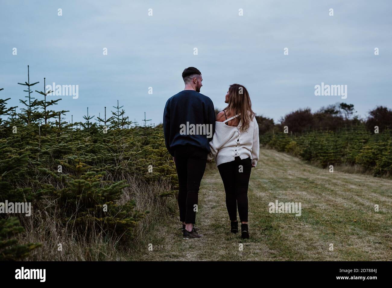 Young couple in Christmas Tree Field, UK Stock Photo - Alamy