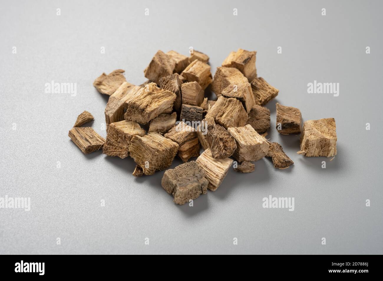 side view herb medicine GeGen or Radix Puerariae or Pueraria Root Stock ...