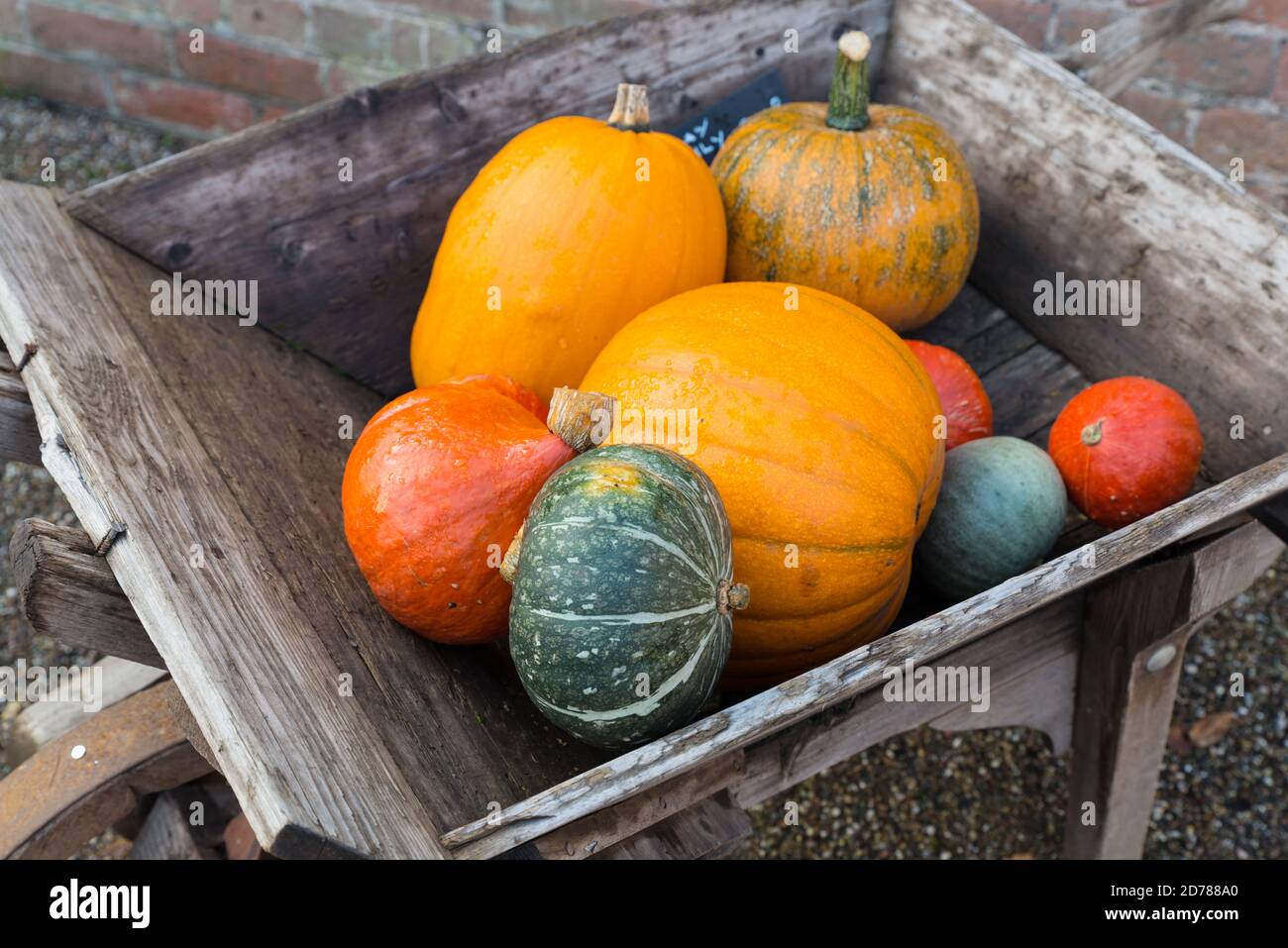 Vegetables in old wheelbarrow hi-res stock photography and images - Alamy
