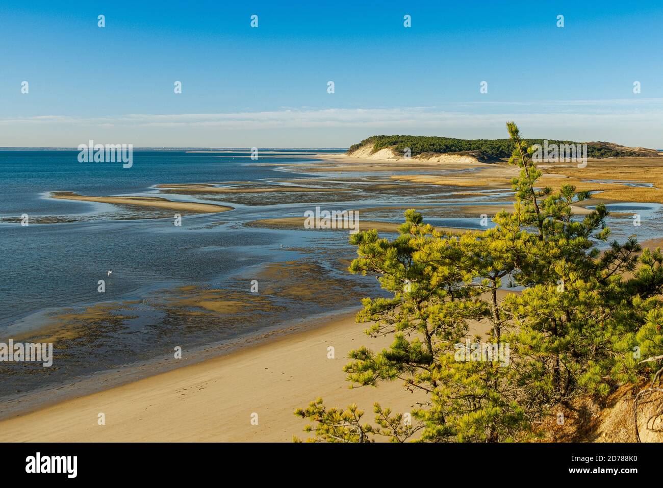 Bluffs of Cape Cod National Seashore Stock Photo - Alamy