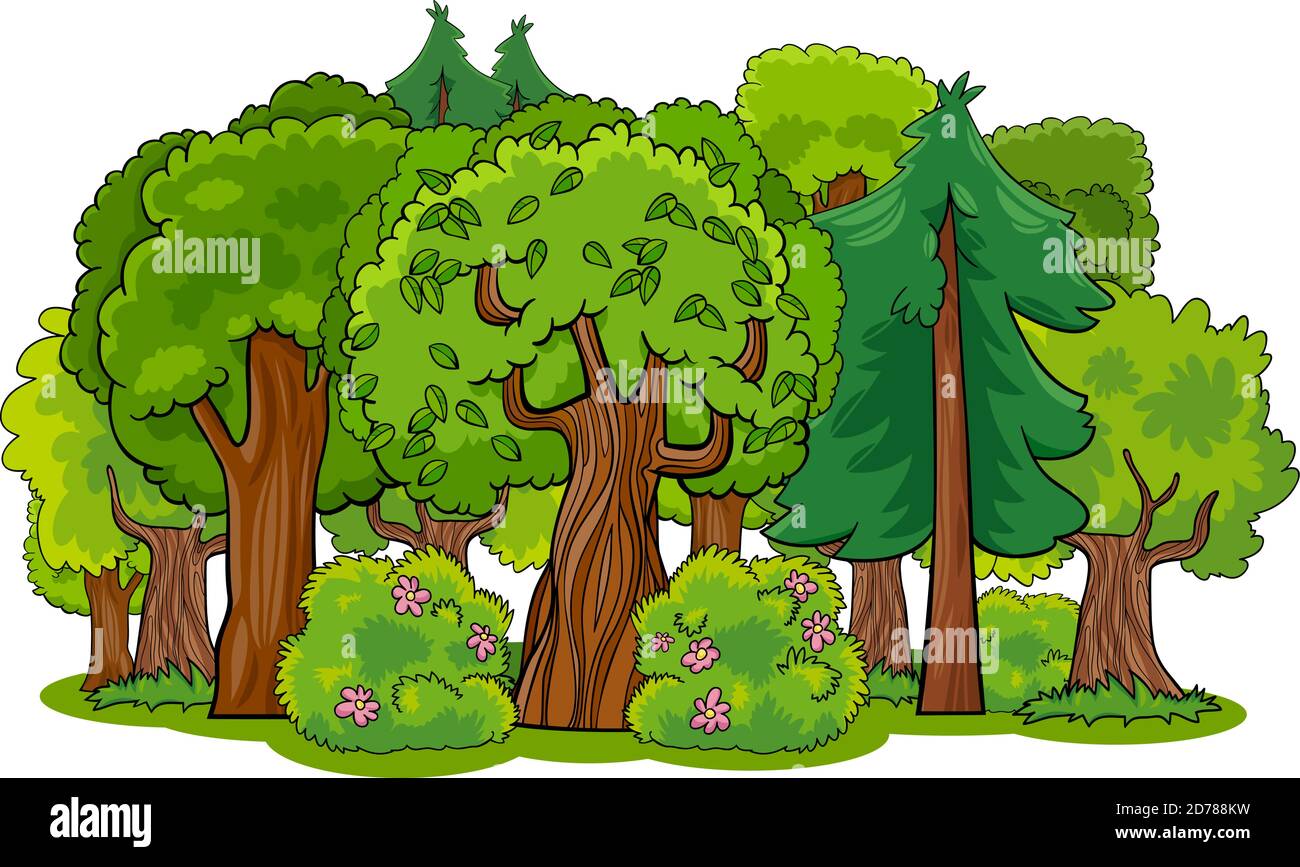 Cartoon Illustration of mixed Forest with Deciduous and Coniferous ...