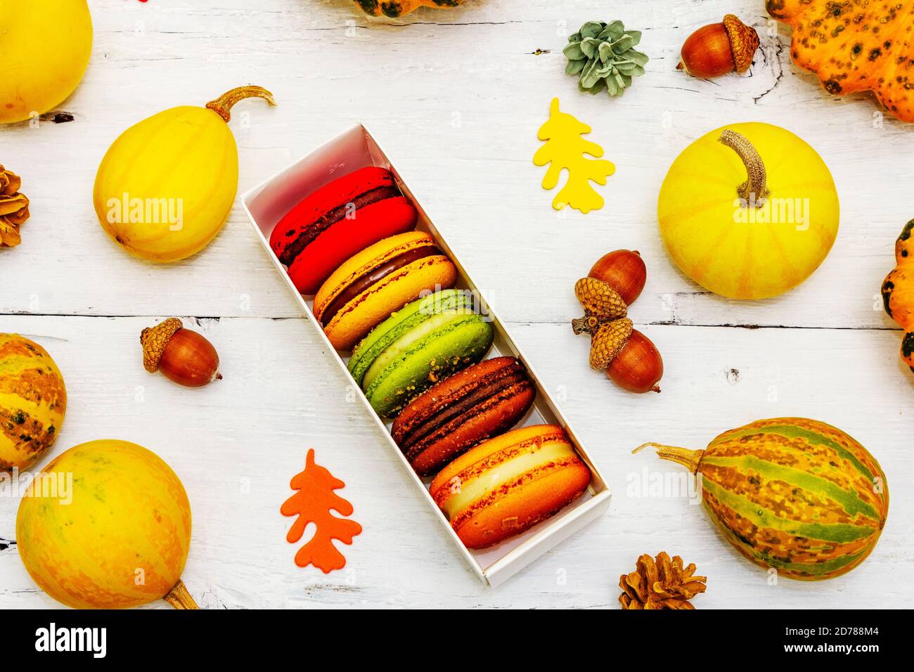 French macarons in autumn colors. Halloween dessert, Thanksgiving menu ...
