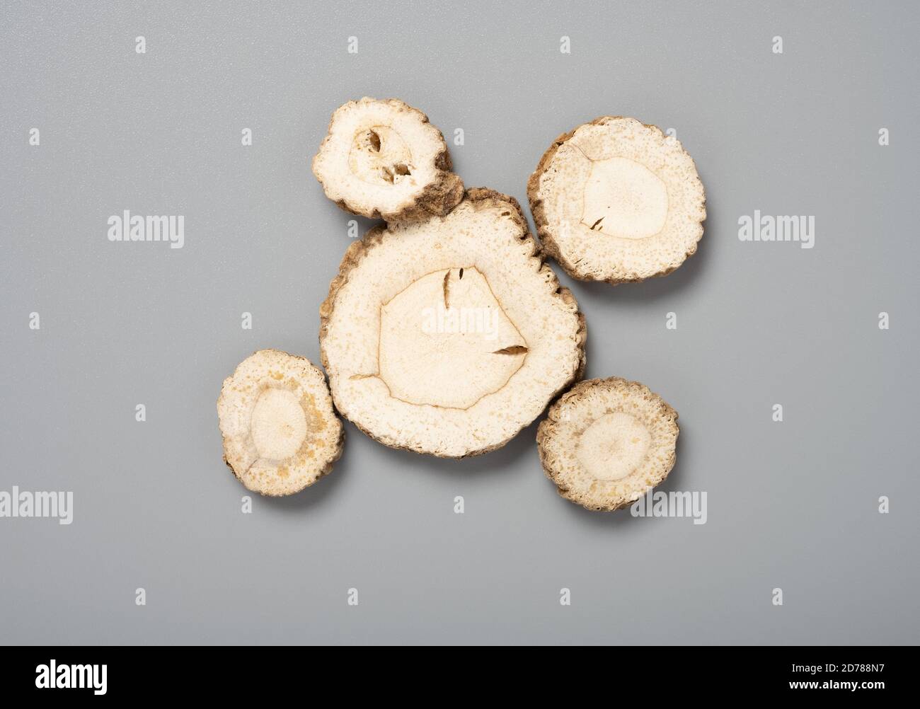 Angelicae dahuricae radix hi-res stock photography and images - Alamy