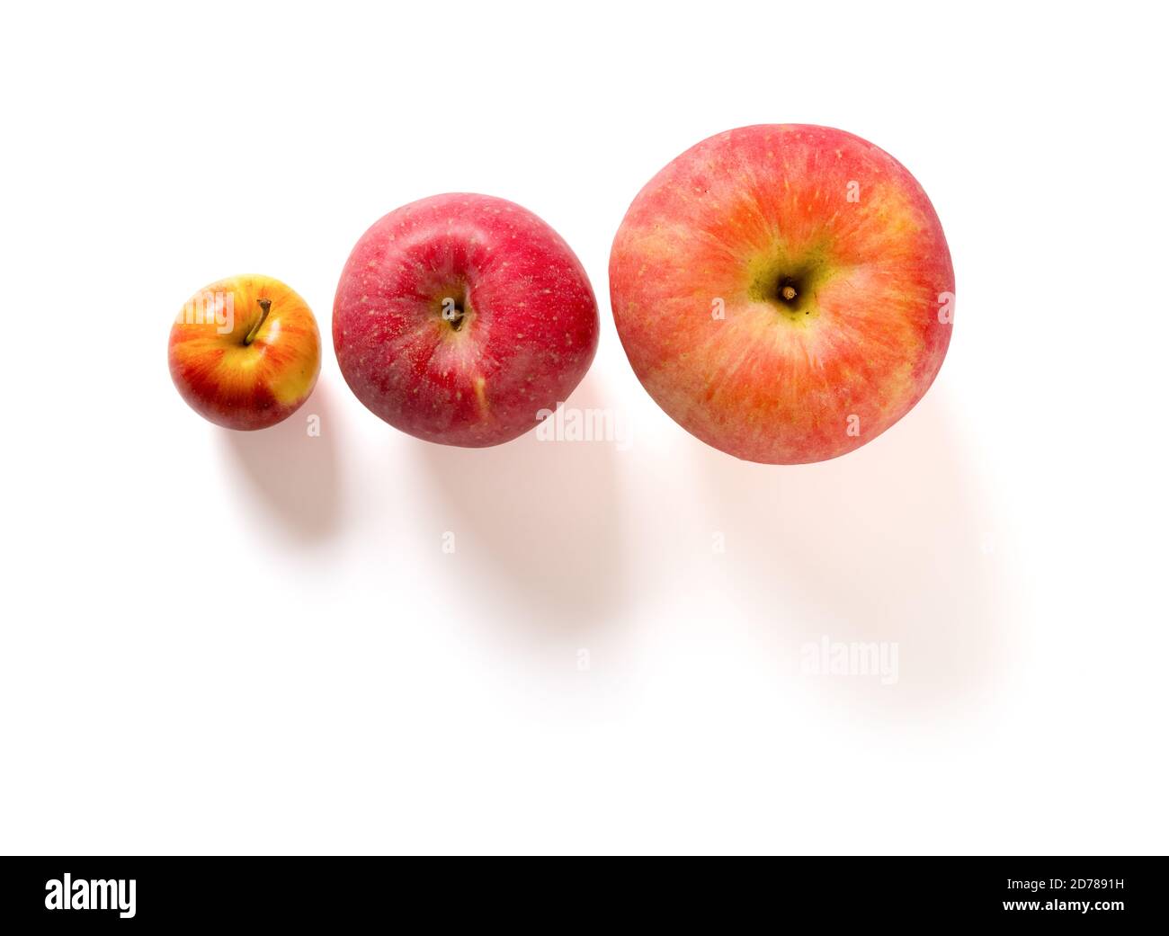 top view small and medicum and big size apples on a white background ...