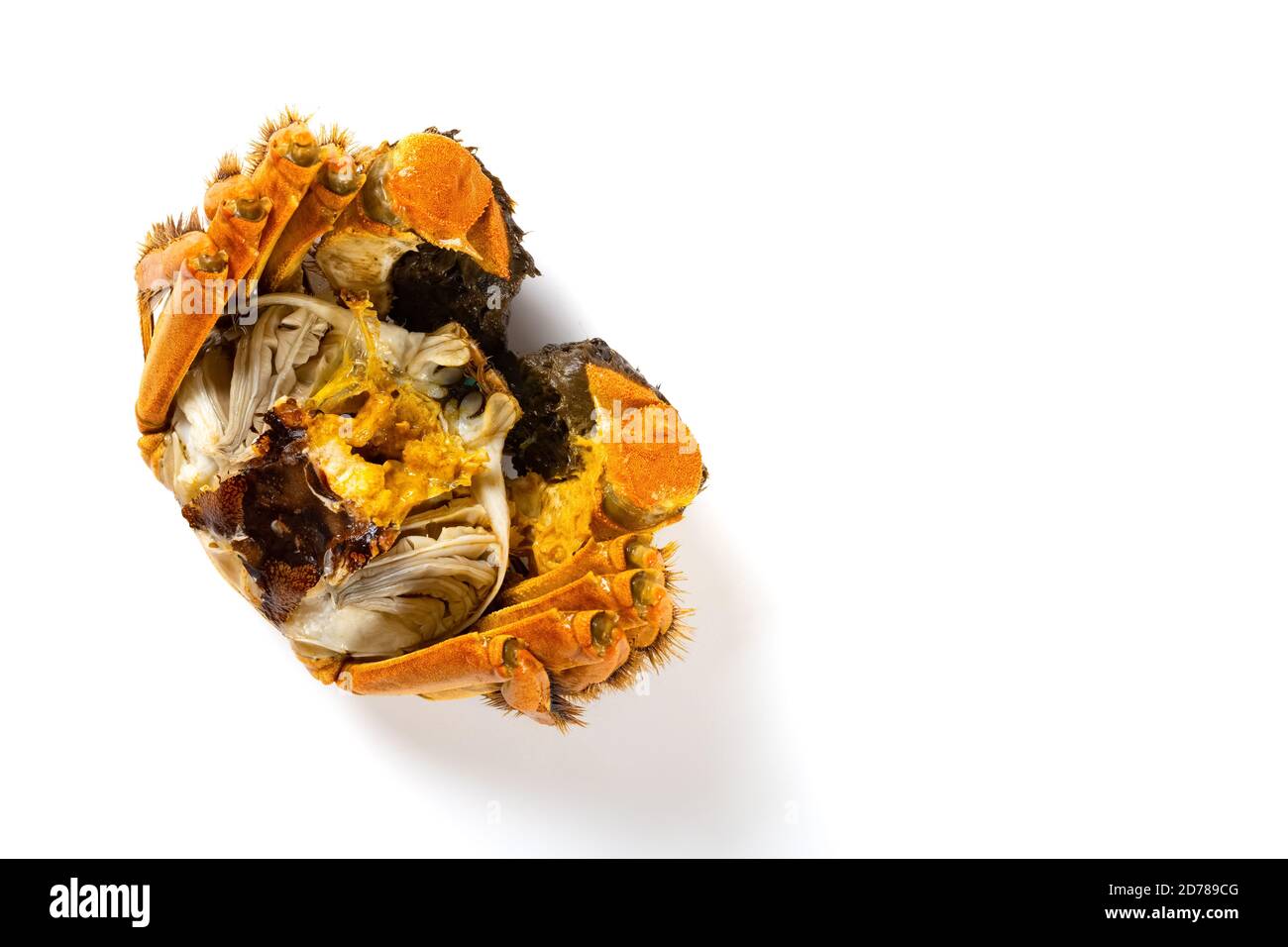 top view fresh cooked crab with the lid opened on white Stock Photo - Alamy