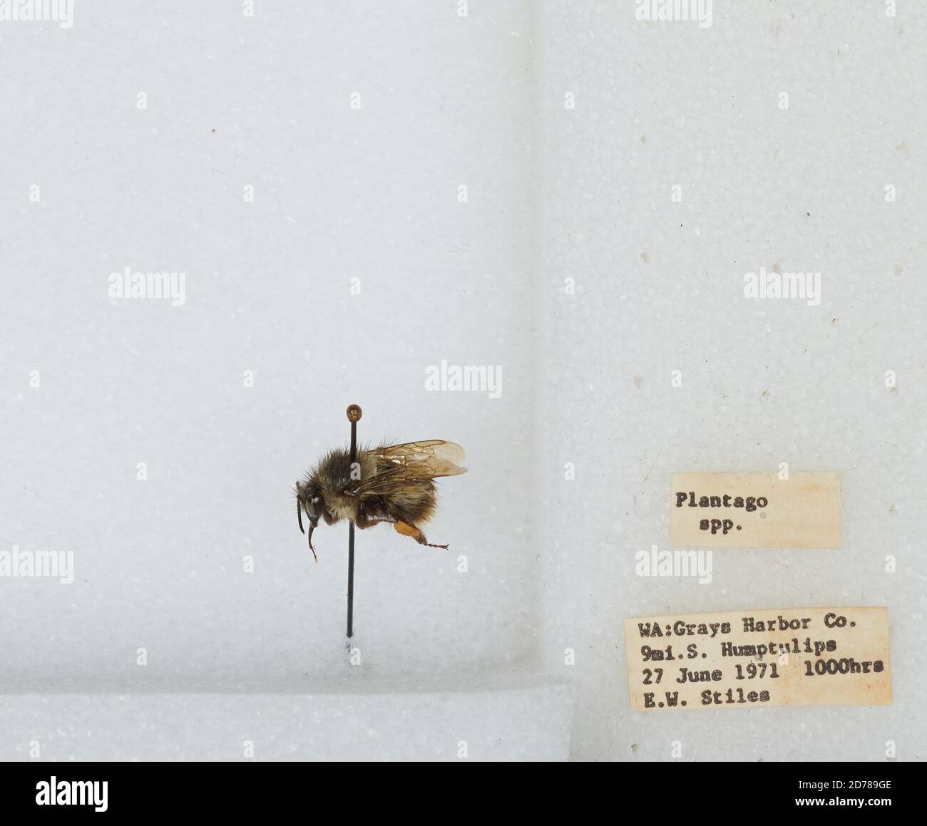 9 miles south of Humptulips, Grays Harbor, Washington, United States ...