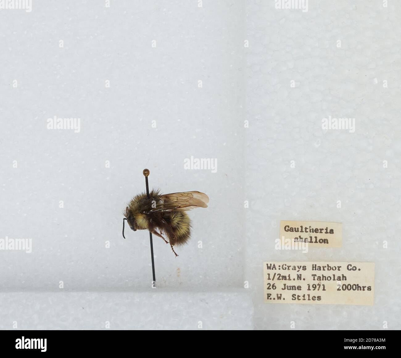 1/2 mile north of Taholah, Grays Harbor, Washington, United States ...