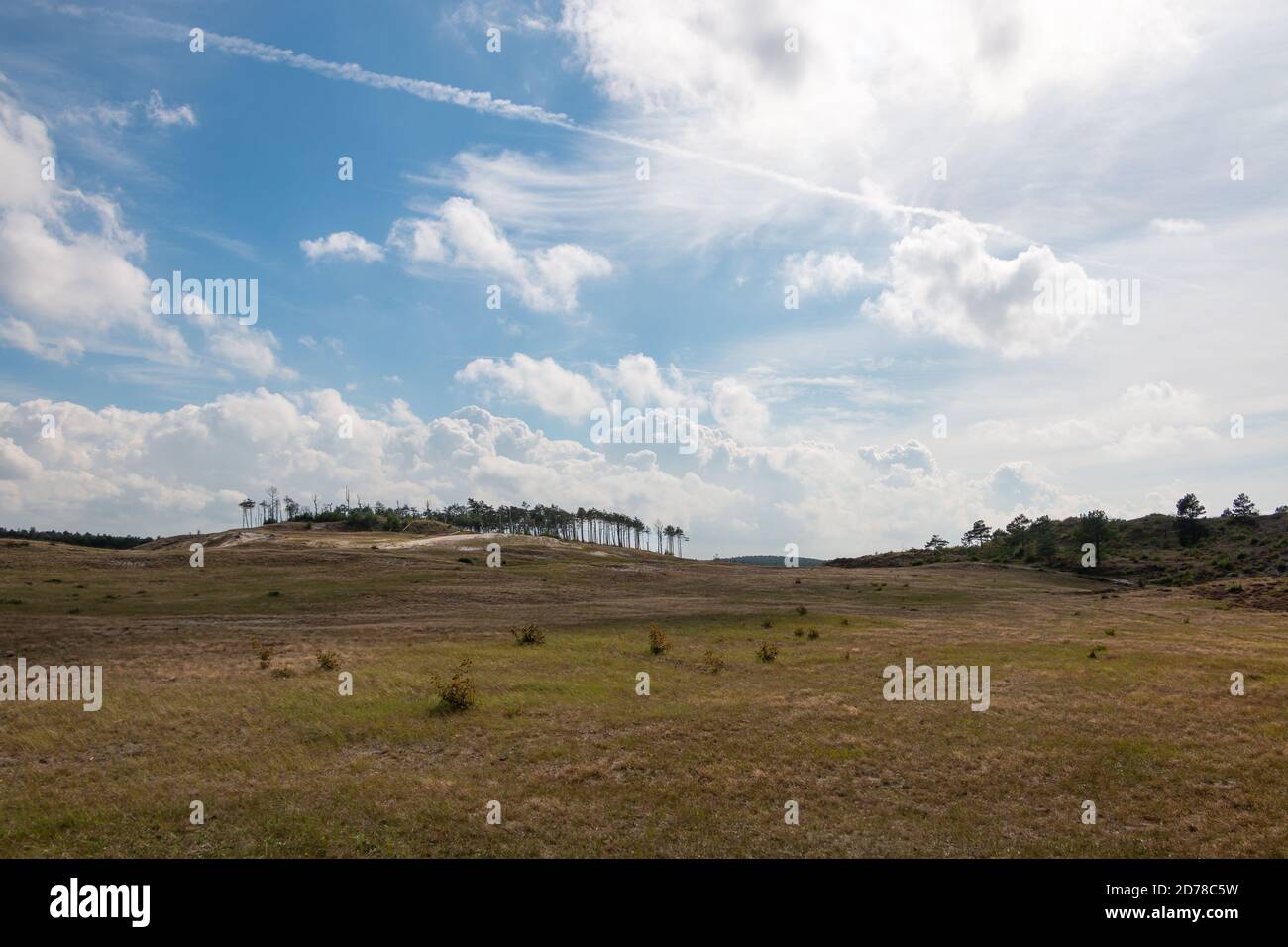 Dunes area called the 'schoorlse duinen' in the dune area of the ...