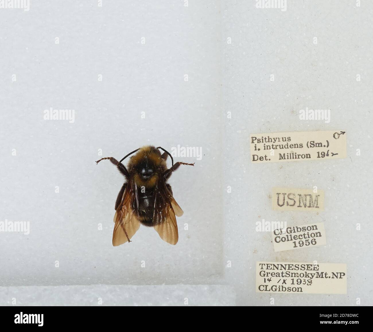 Great Smoky Mountains National Park, Sevier, Tennessee, United States ...