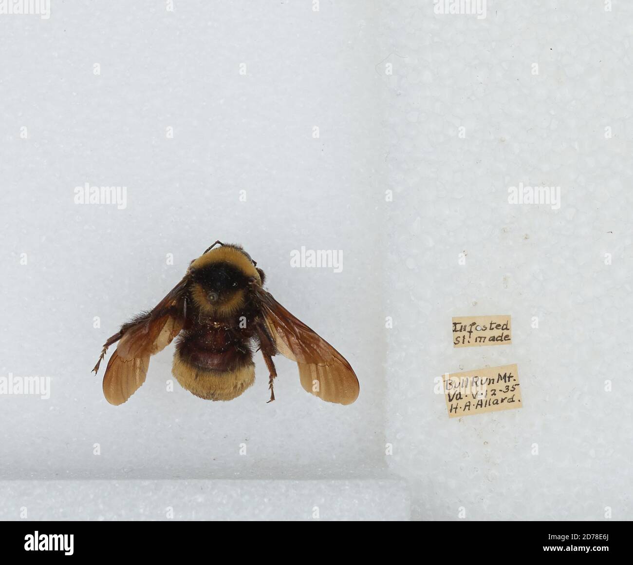 Bull Run Mountains Natural Area Preserve, Fauquier, Virginia, United ...