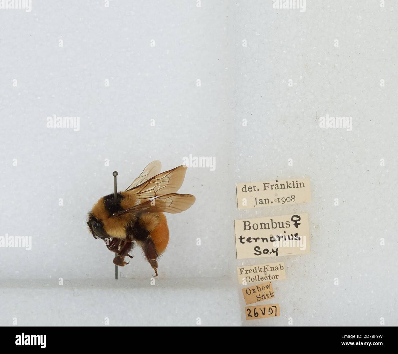 Oxbow saskatchewan hi-res stock photography and images - Alamy