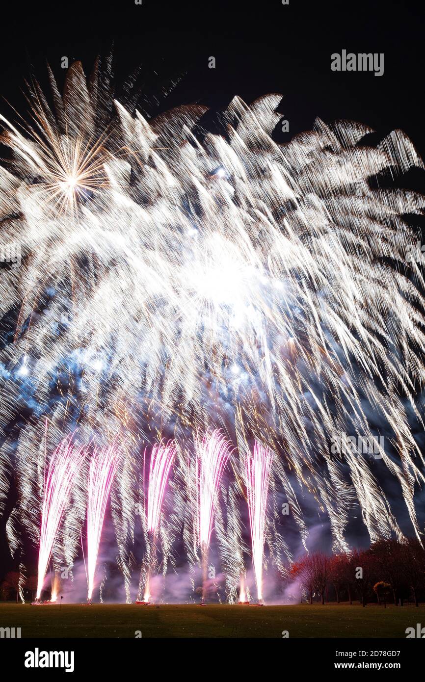 Spectacular and colourful firework display set against a dark Autumn ...