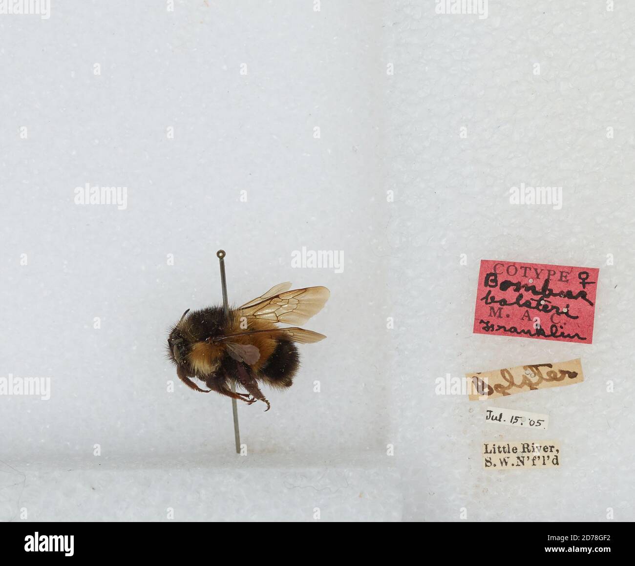 Little River, South West Newfoundland, Newfoundland and Labrador ...