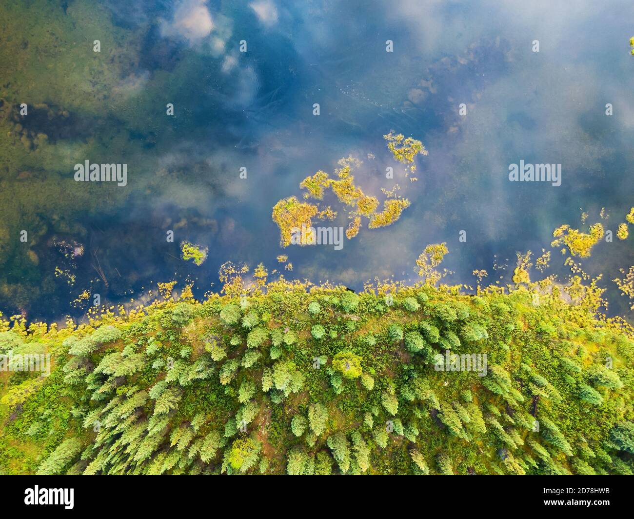 Aerial view of colorful pond in the marshlands Stock Photo - Alamy