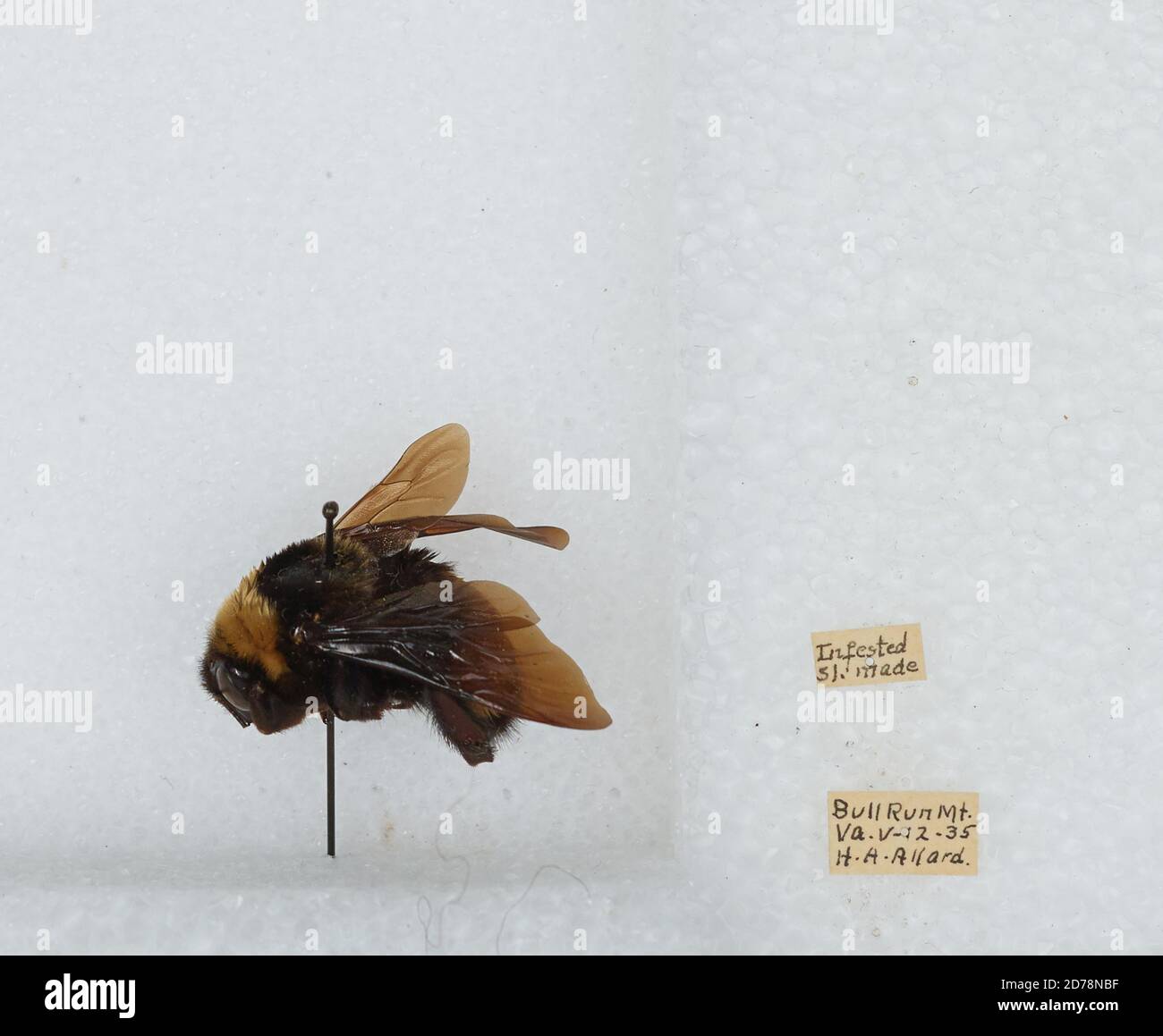 Bull Run Mountains Natural Area Preserve, Fauquier, Virginia, United ...