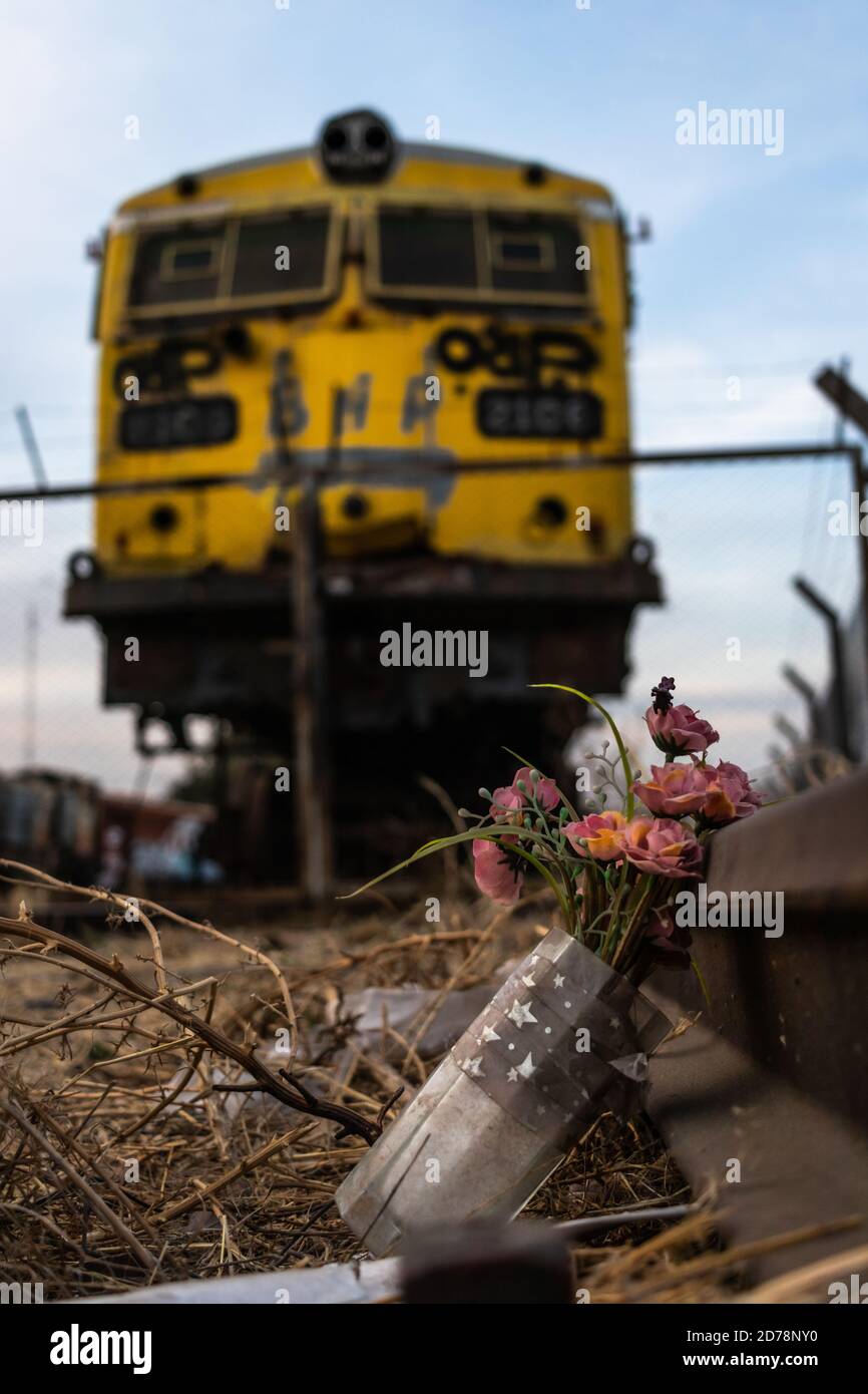 Abandoned Train gets flowers Stock Photo - Alamy