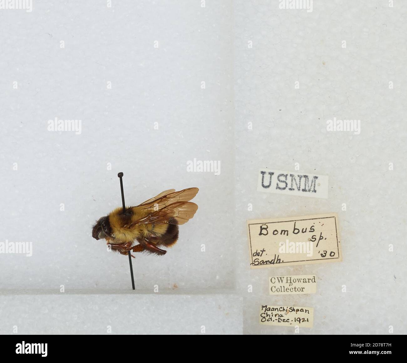 Maan chi shaan hi-res stock photography and images - Alamy