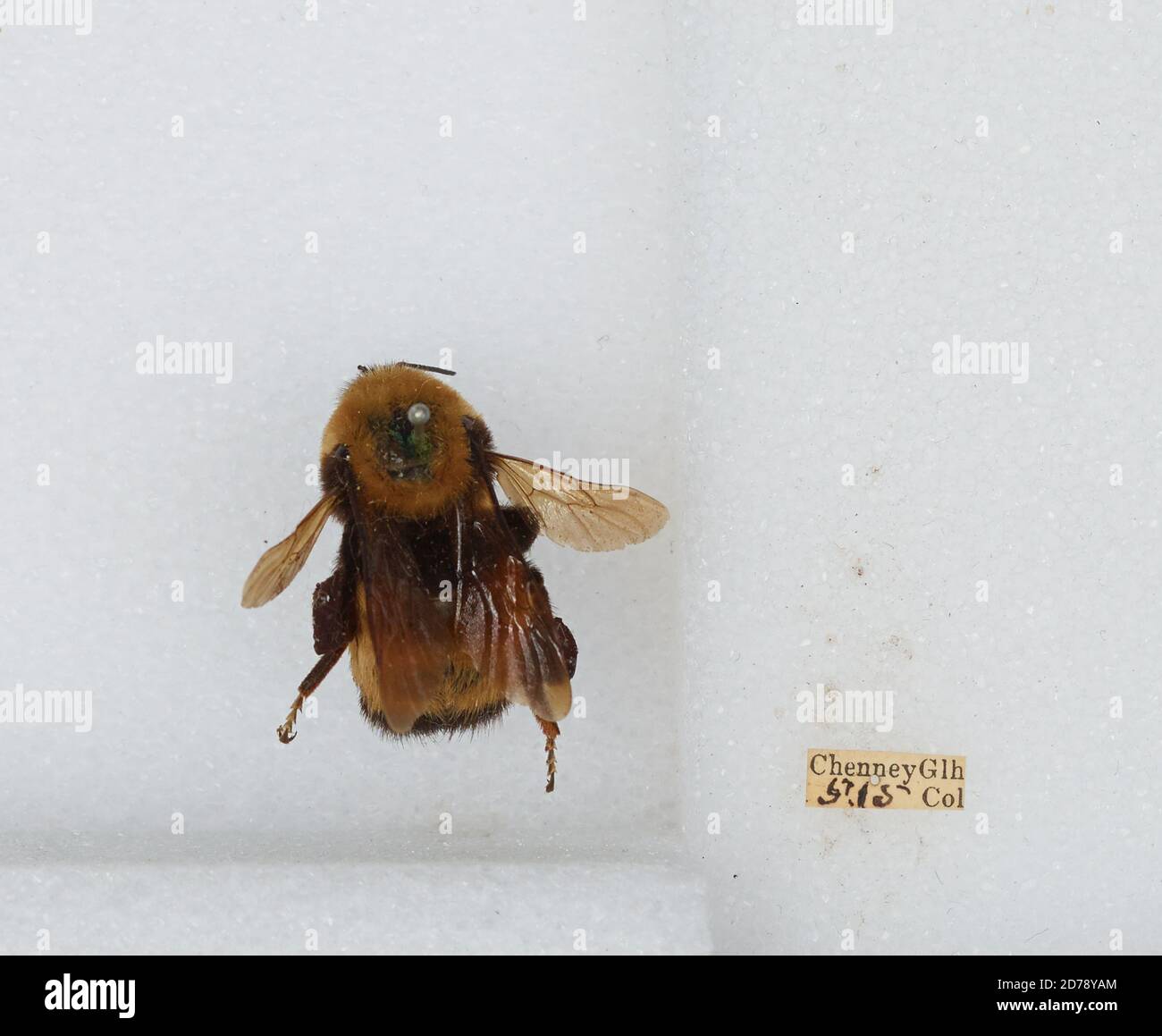 Little cheney gulch valley hi-res stock photography and images - Alamy