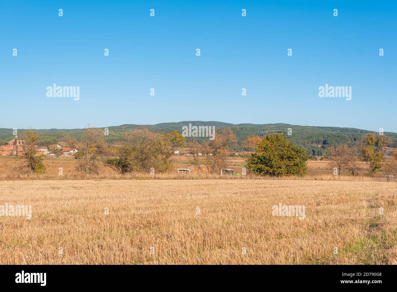 Bail bound hi-res stock photography and images - Alamy