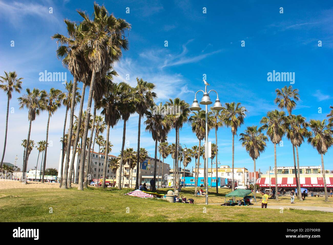Palm trees in Venice Beach,Venice Beach, Los Angeles, California ...