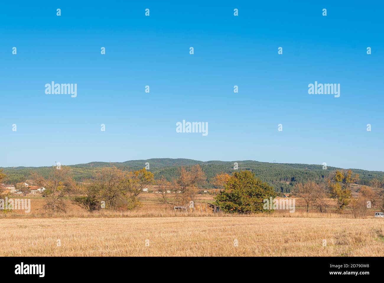 Bail bound hi-res stock photography and images - Alamy