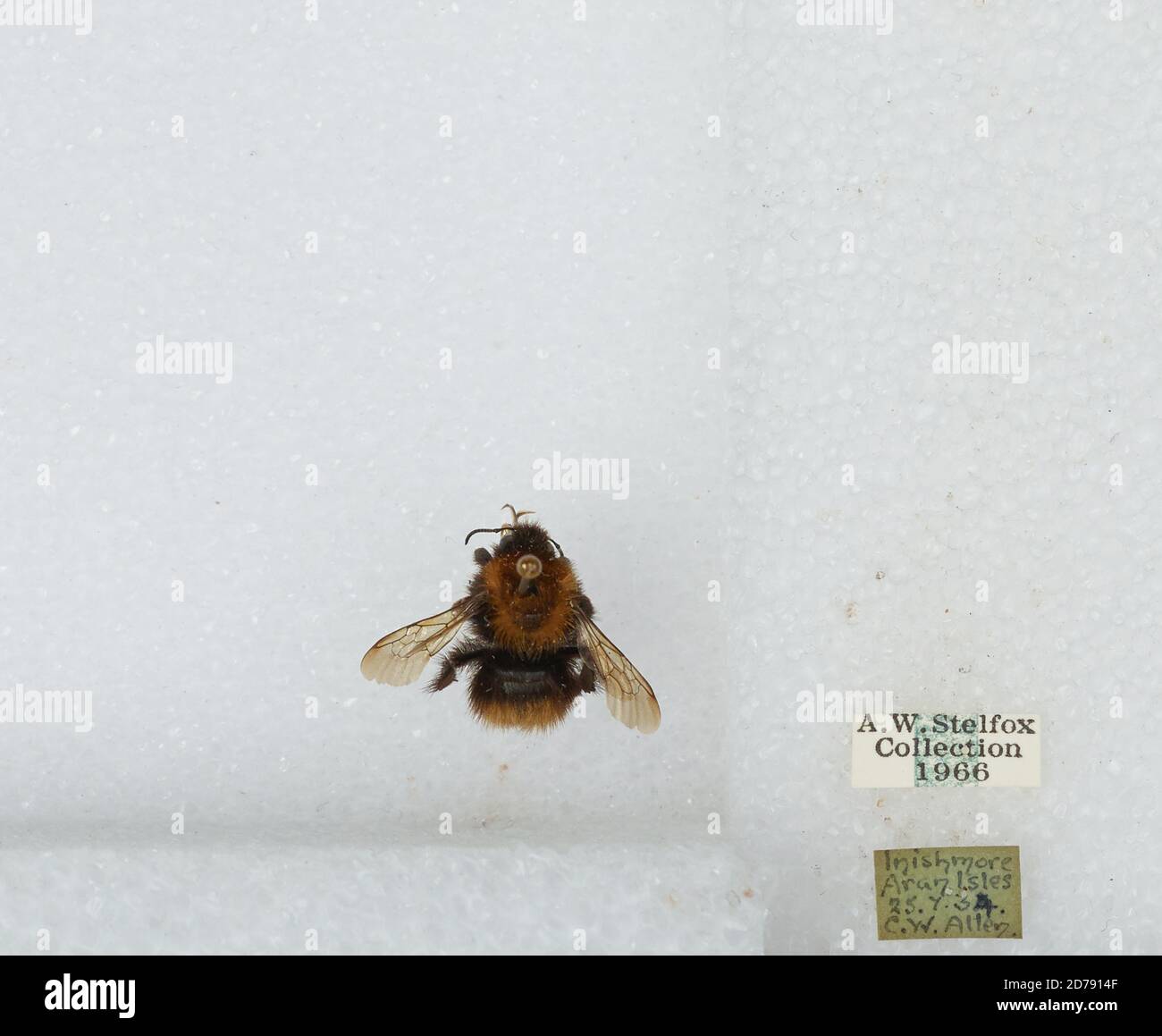 Aran isles hi-res stock photography and images - Alamy