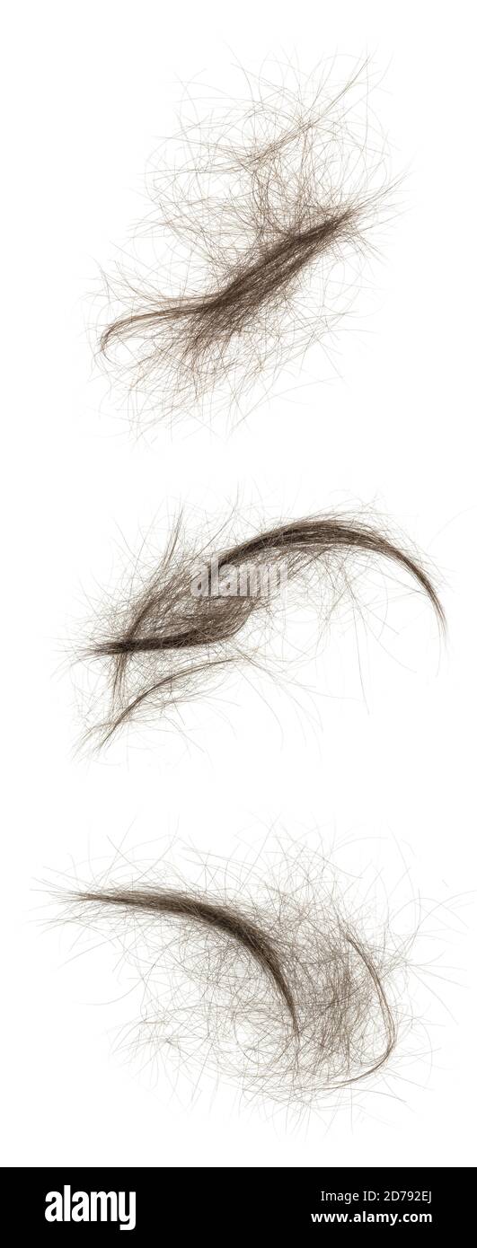 Hair bundle isolated on white background. collage tuft hair close-up ...