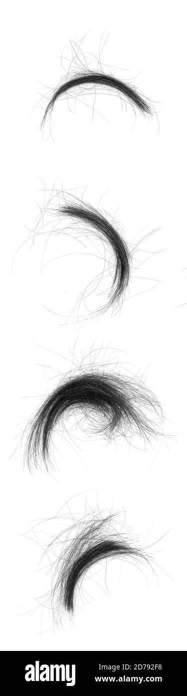 Hair bundle isolated on white background. collage tuft hair close-up ...
