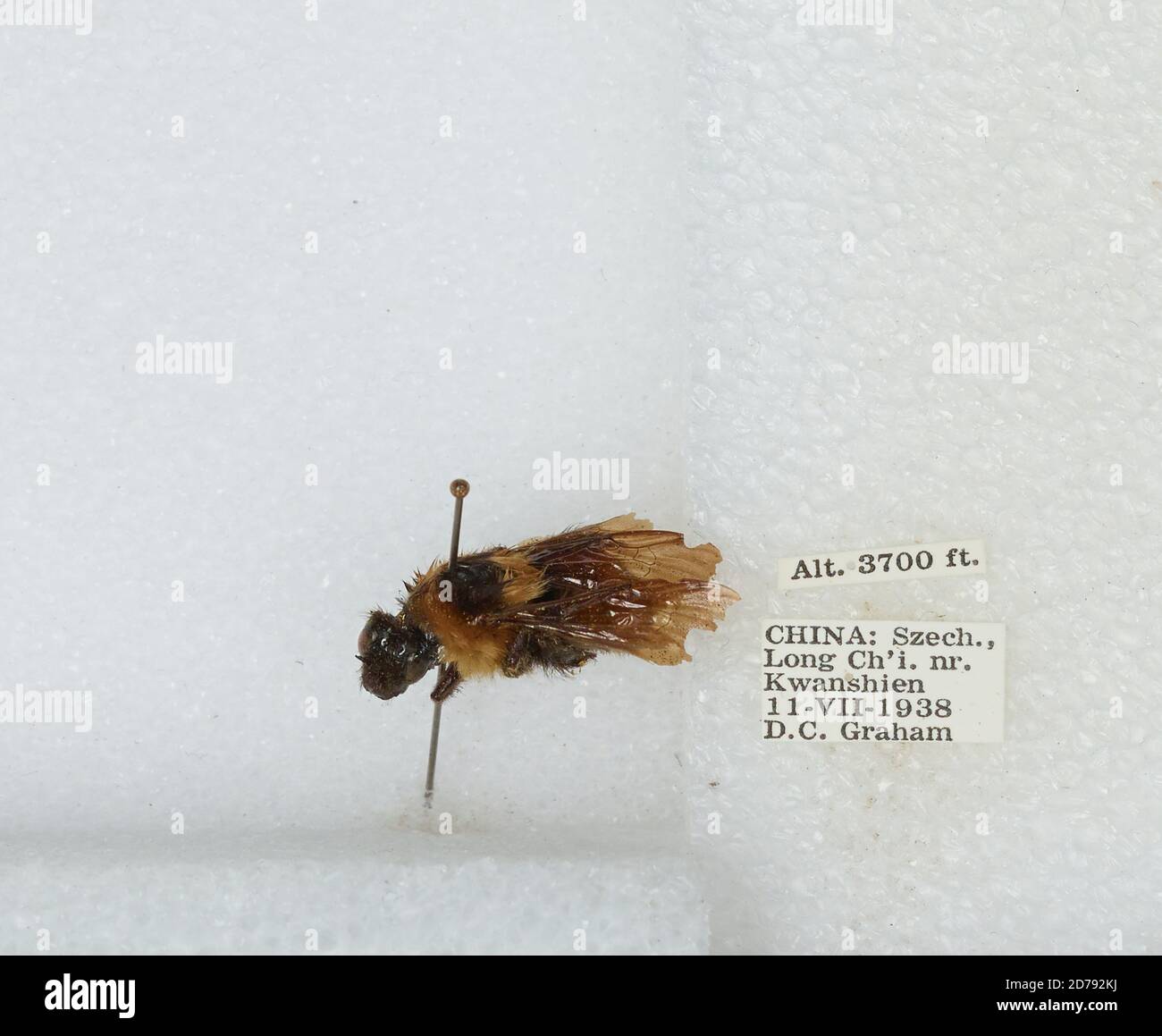 Near kwanshien hi-res stock photography and images - Alamy