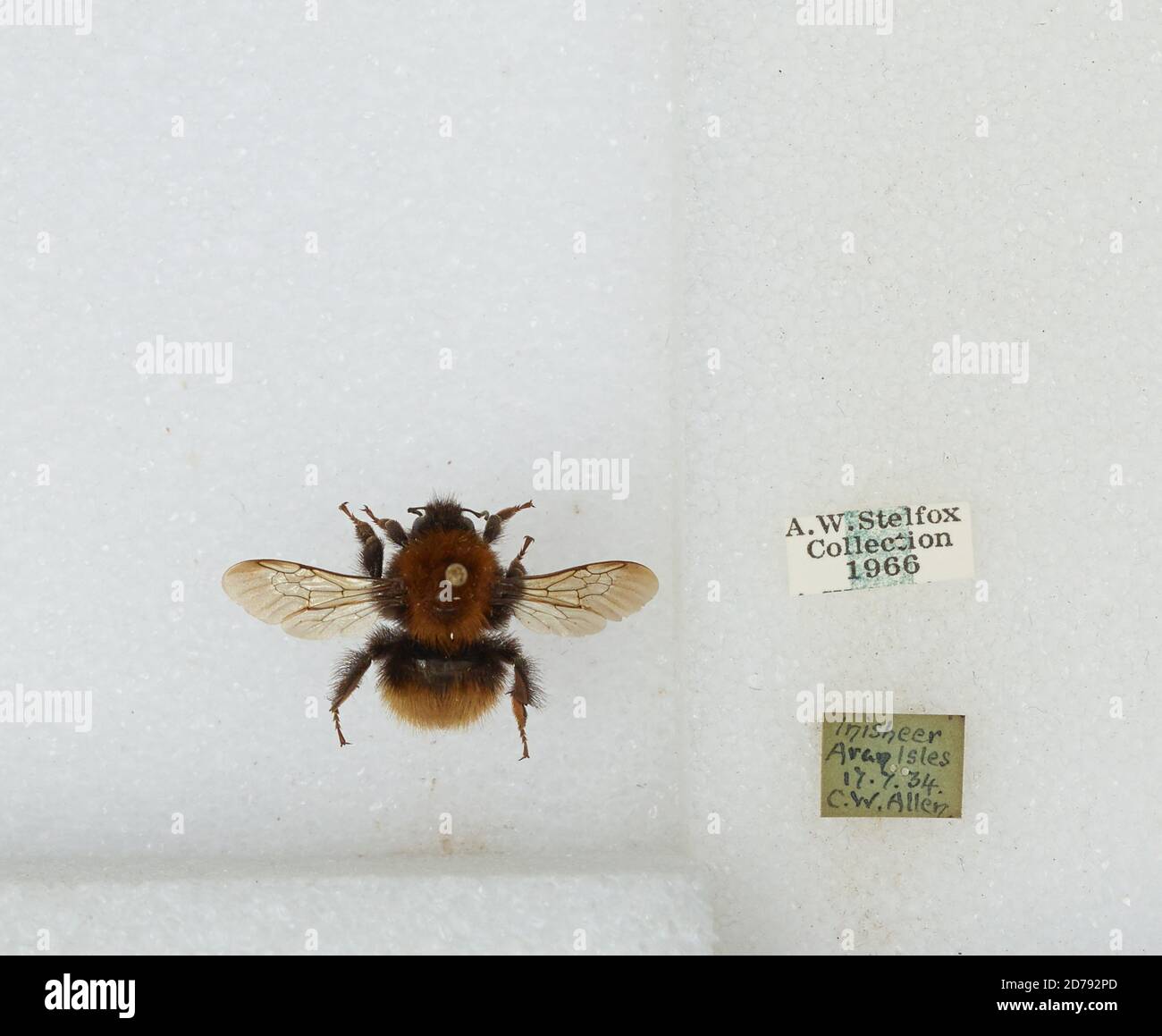 Aran Isles High Resolution Stock Photography and Images - Alamy