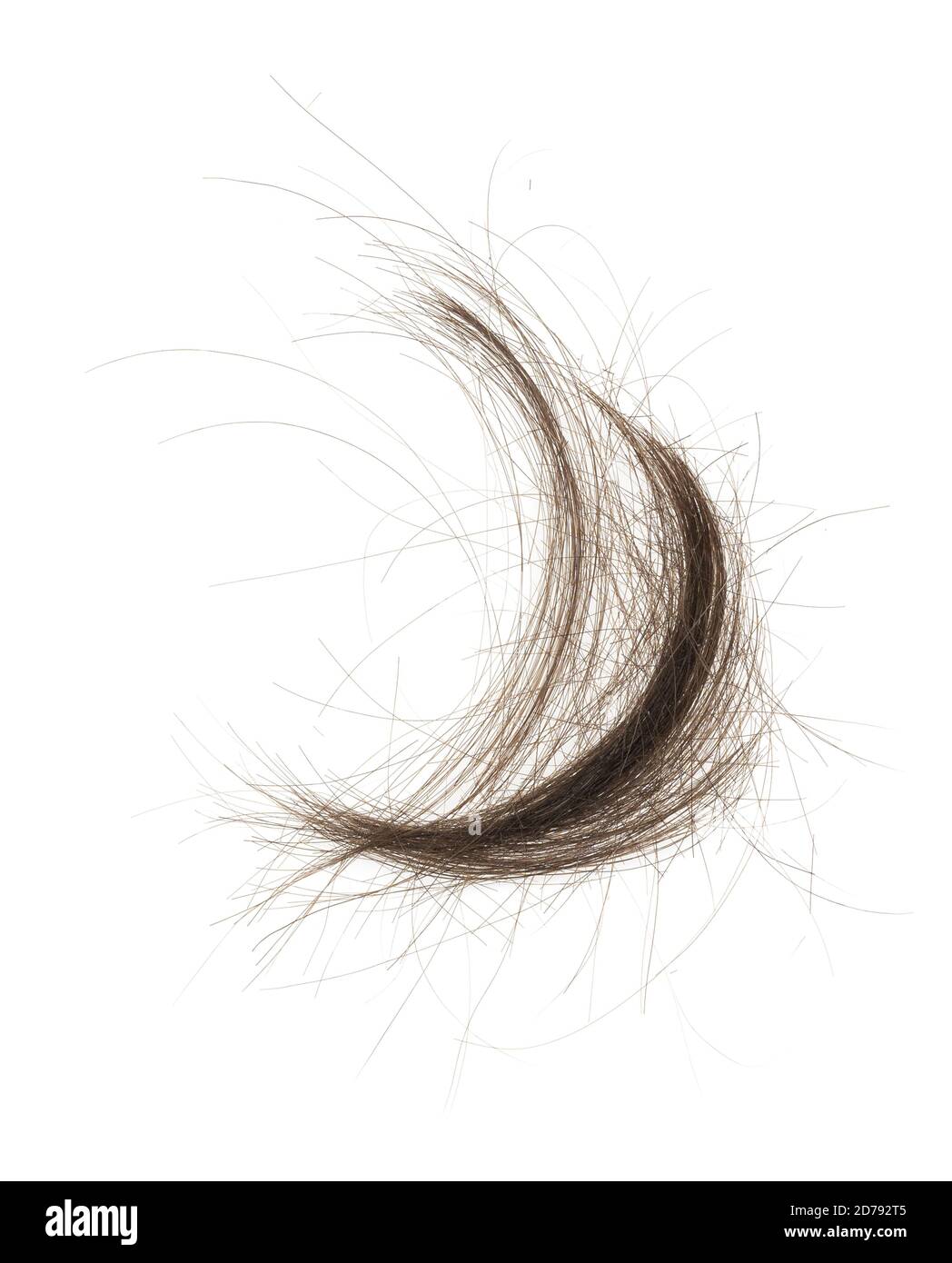 Hair bundle isolated on white background. tuft hair close-up Stock ...