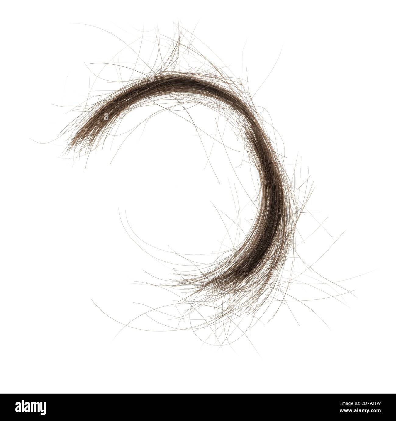 Hair bundle isolated on white background. tuft hair close-up Stock ...