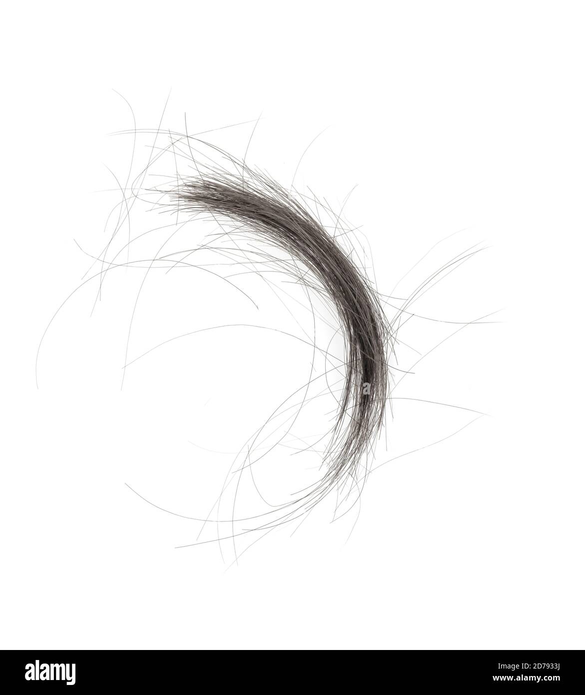 Hair bundle isolated on white background. tuft hair close-up Stock ...