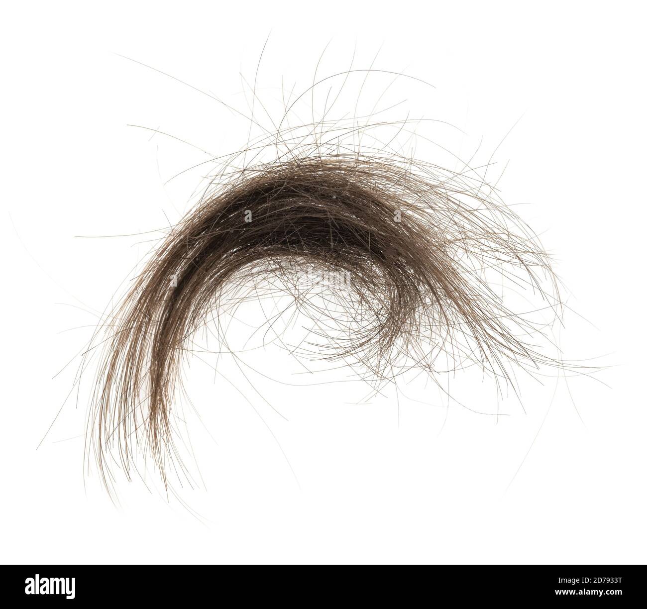 Hair bundle isolated on white background. tuft hair close-up Stock ...