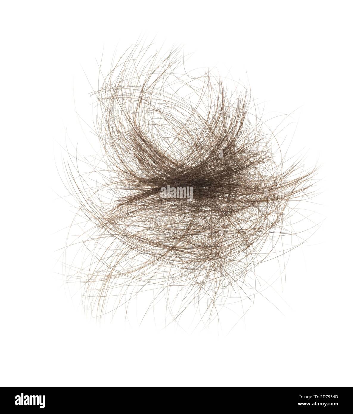 Hair bundle isolated on white background. tuft hair close-up Stock ...