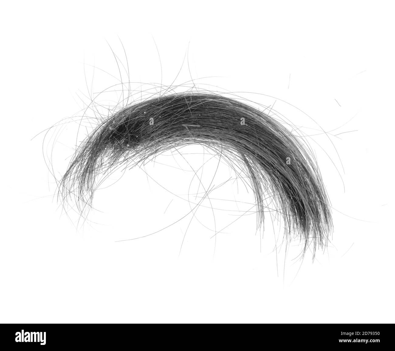 Hair bundle isolated on white background. tuft hair close-up Stock ...