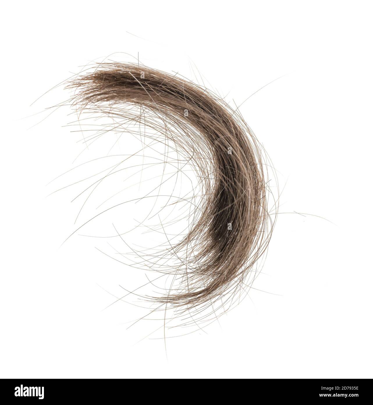 Hair bundle isolated on white background. tuft hair close-up Stock ...