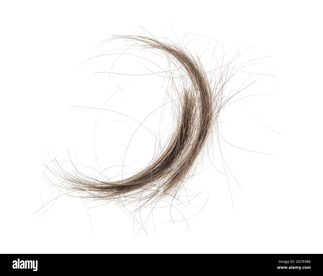 Hair bundle isolated on white background. tuft hair close-up Stock ...