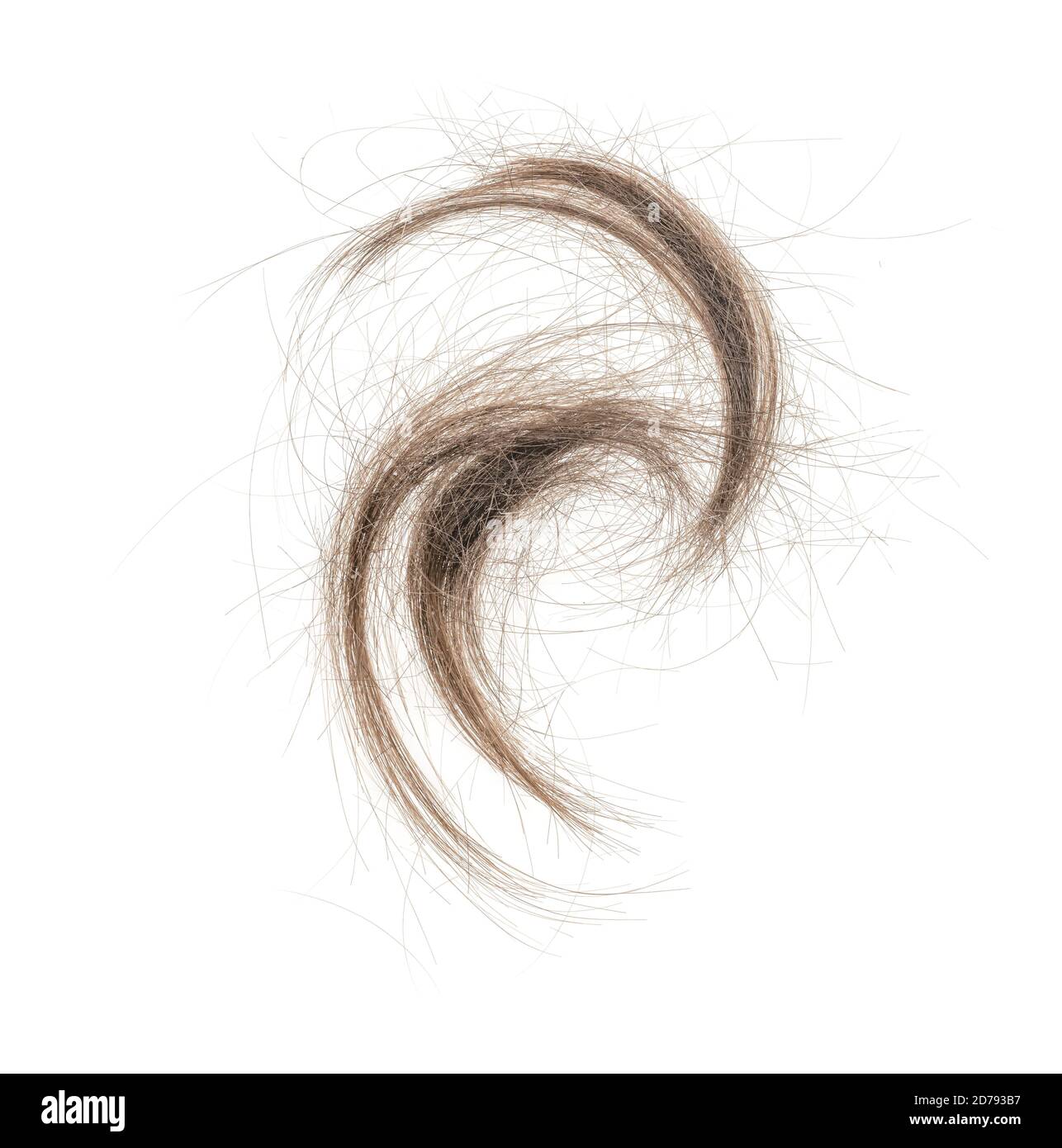 Hair bundle isolated on white background. tuft hair close-up Stock ...