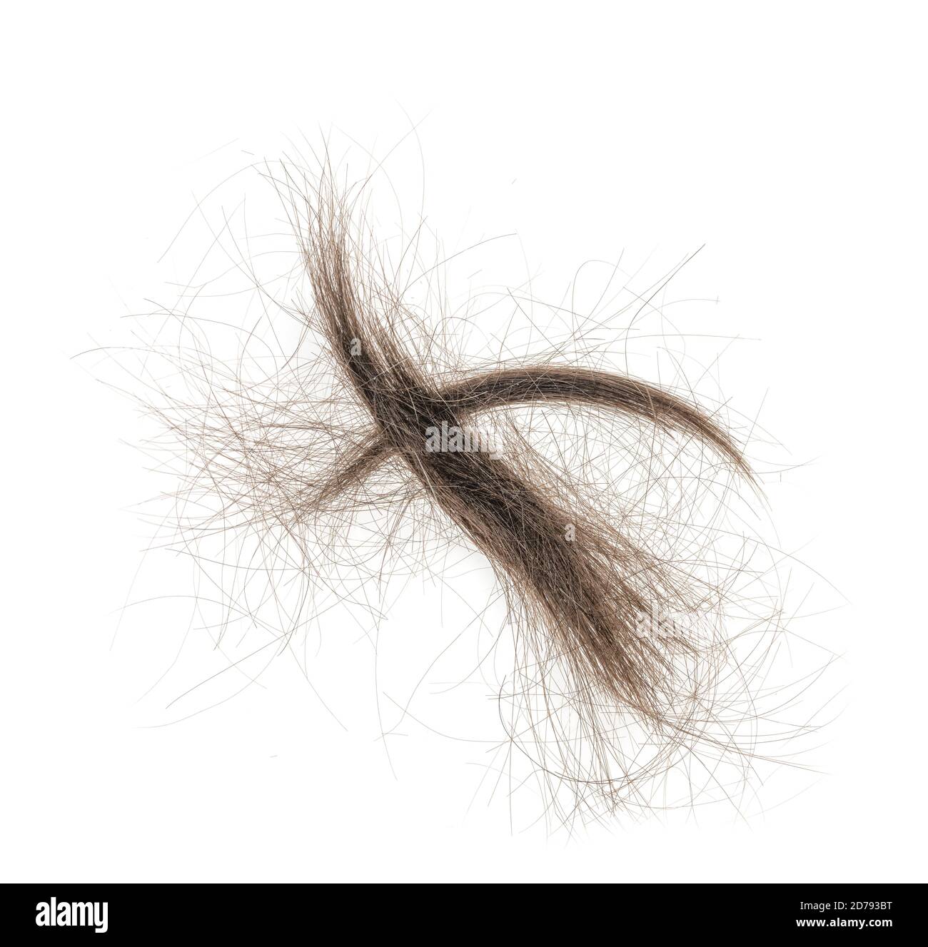 Hair bundle isolated on white background. tuft hair close-up Stock ...